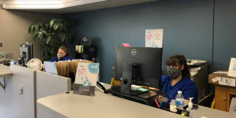 St. Louis, MO 63104 Veterinarian - St. Louis Veterinary Center