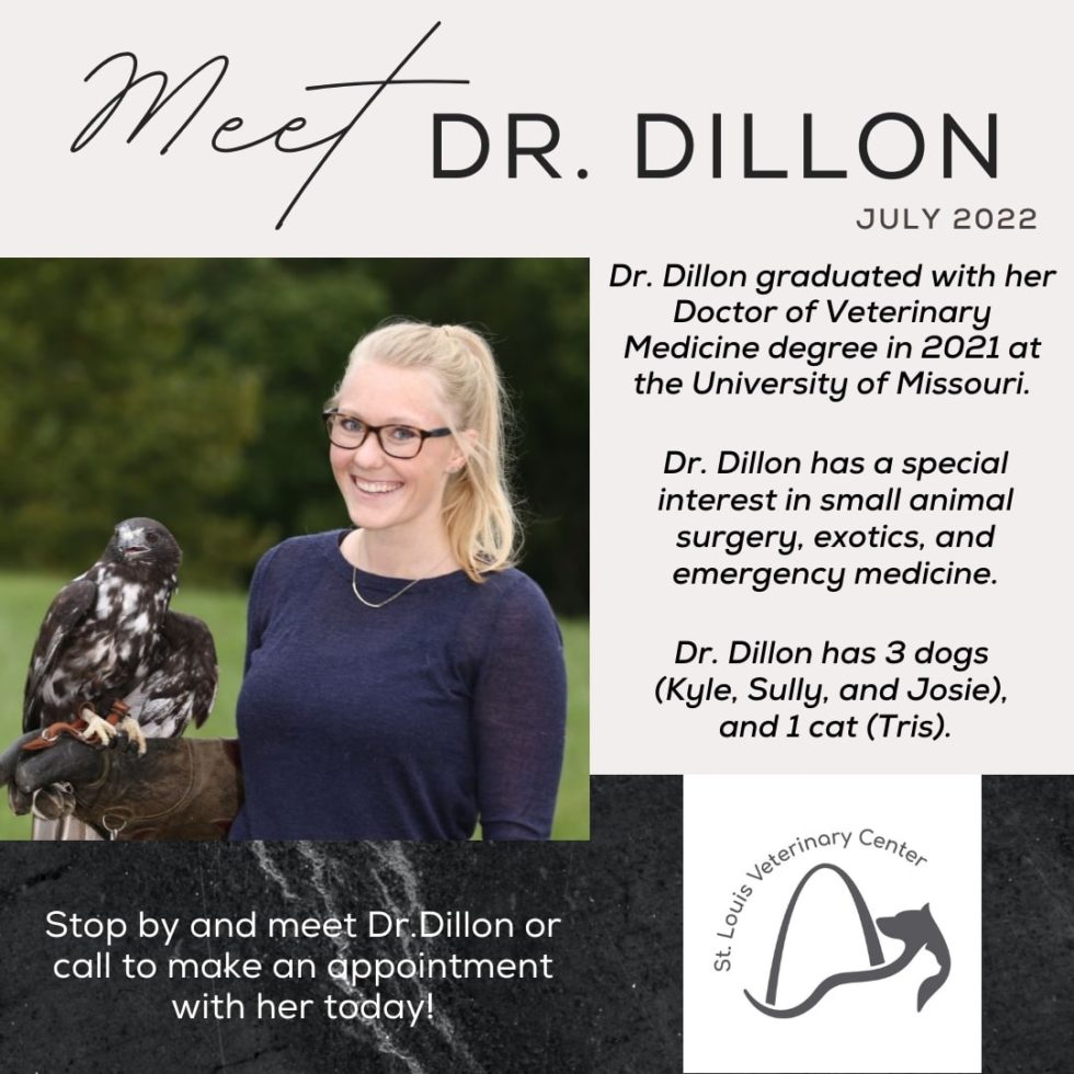 St. Louis, MO 63104 Veterinarian - St. Louis Veterinary Center