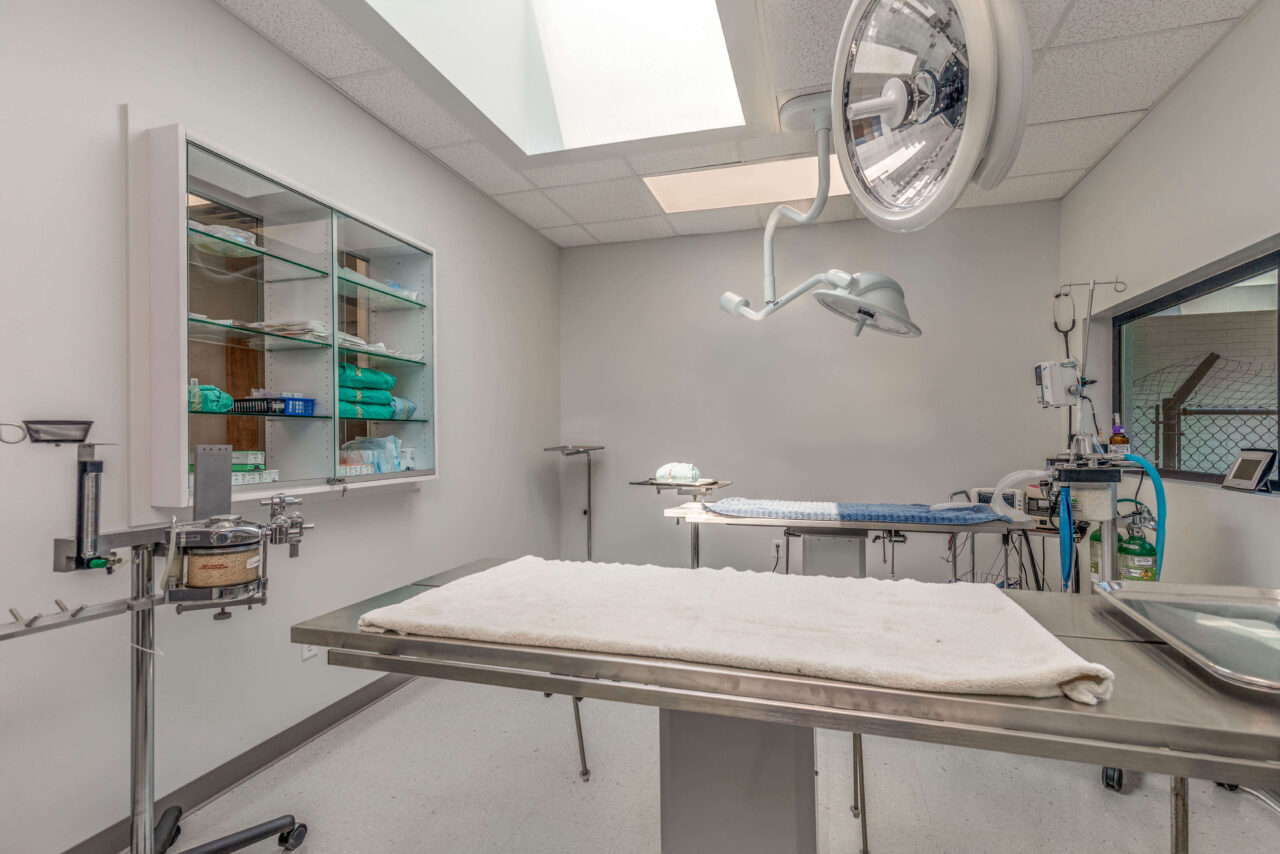 St. Louis Veterinary Center Virtual Tour