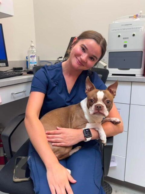St. Louis, MO 63104 Veterinarian - St. Louis Veterinary Center