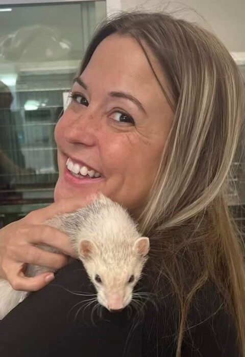 About St. Louis Veterinary Center - Vet in St. Louis, MO 63104