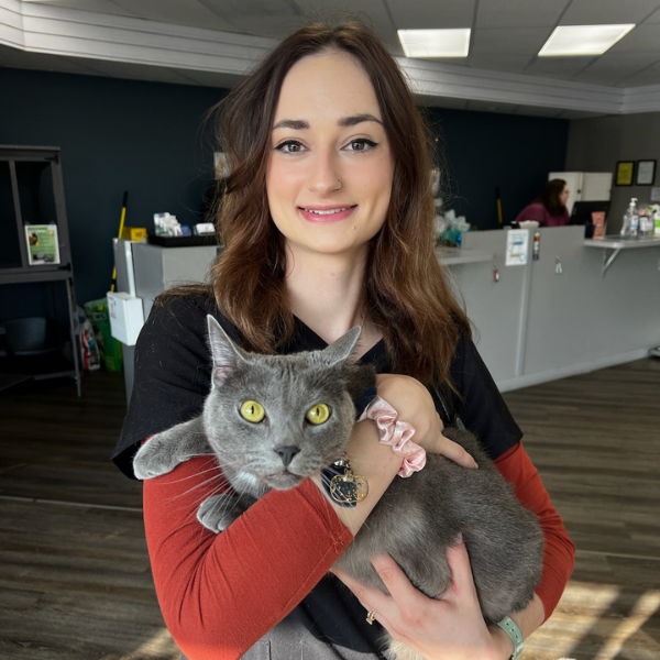 Veterinarian in St. Louis, MO 63104 - St. Louis Veterinary Center